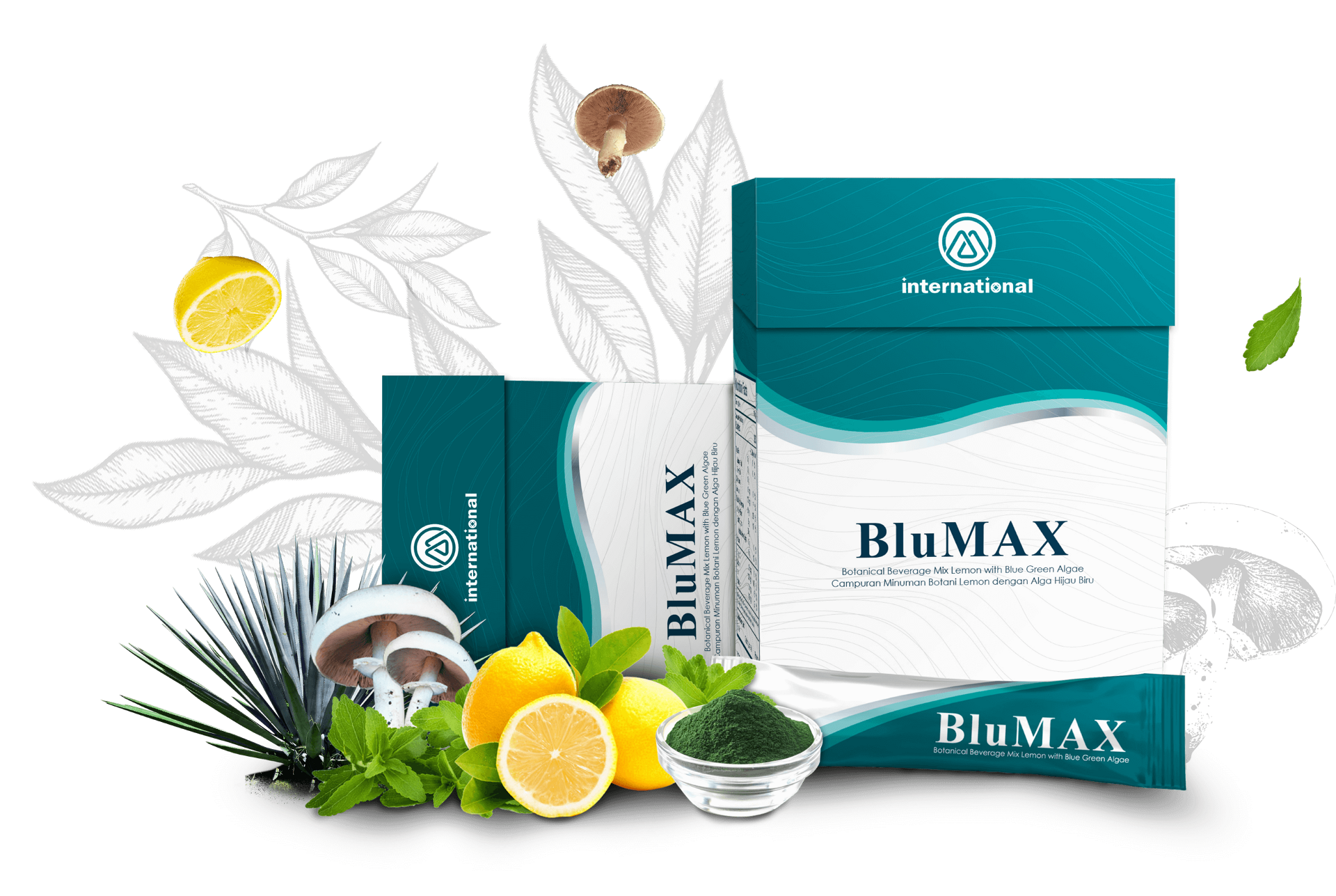 M international - м интернешнл компания продукция: каталог с ценами, купить